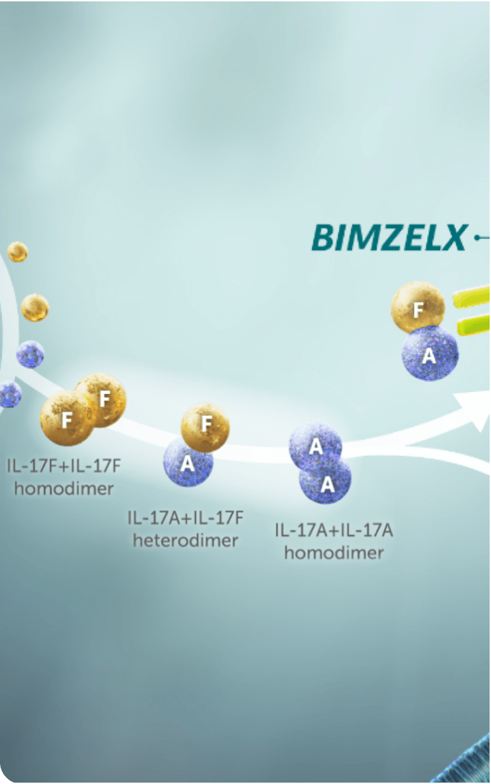PSO & PsA MOA | Bimzelx